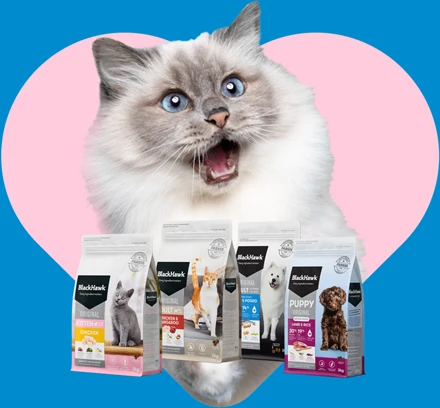 Insure and protect your dog or cat | Southern Cross Pet Insurance