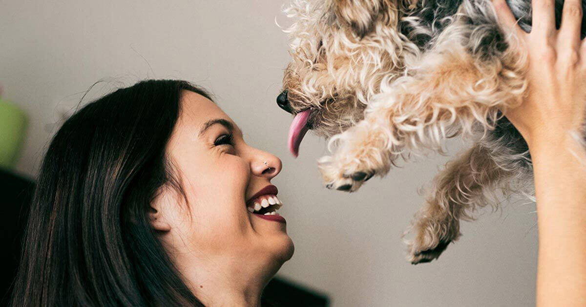 Face recognition in dogs | Southern Cross Pet Insurance