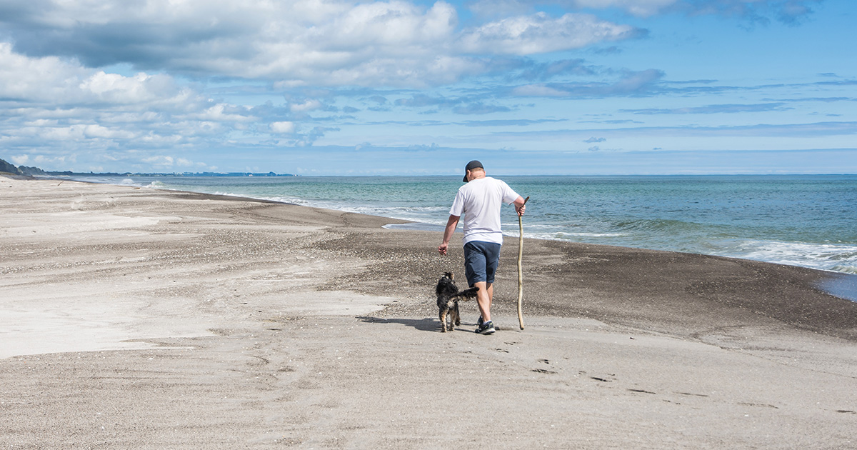 Keeping pet safe around stormwater | Southern Cross Pet Insurance