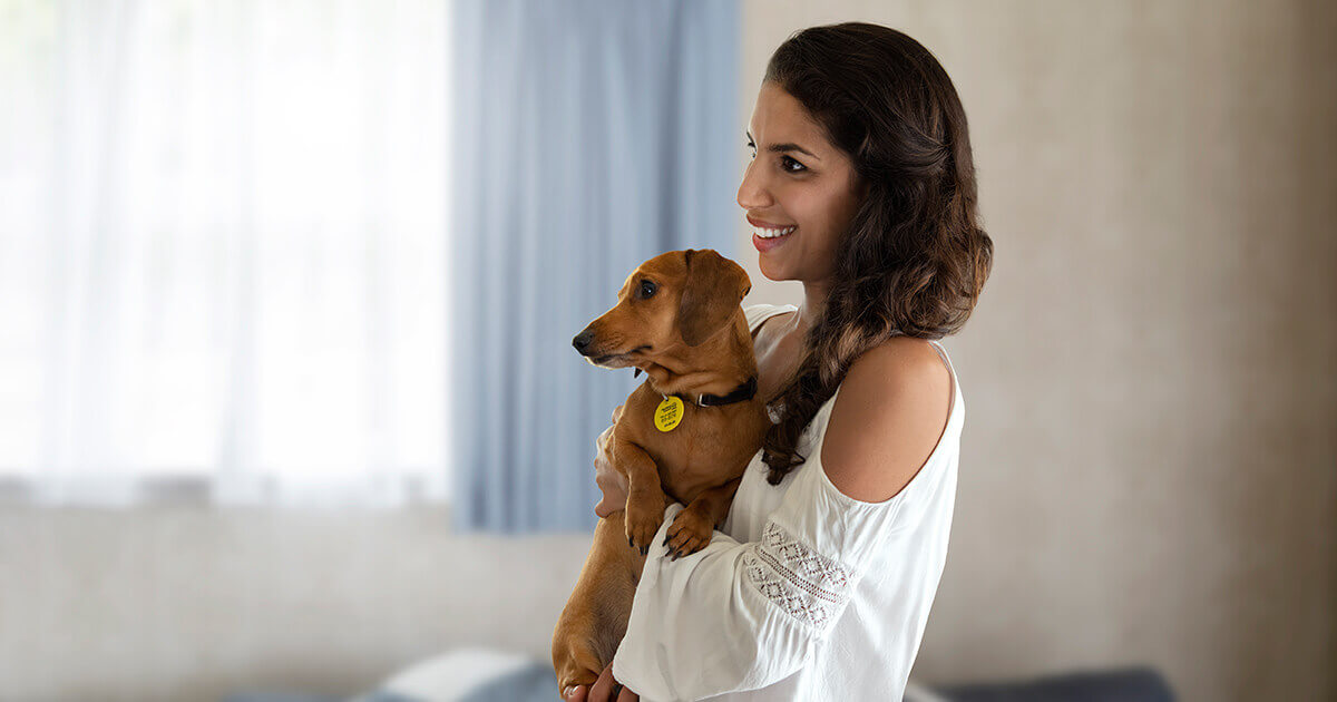 Meet our stars | Southern Cross Pet Insurance