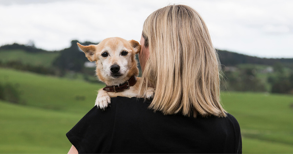 Pet Refuge helping animals in need | Southern Cross Pet Insurance