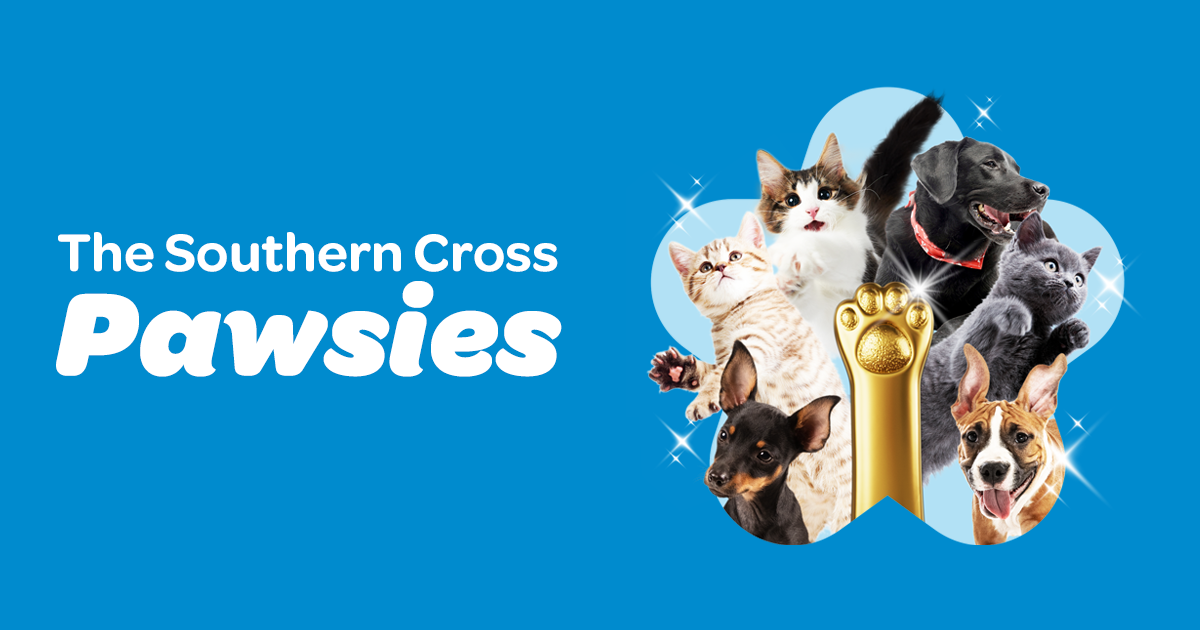 Pawsies | Southern Cross Pet Insurance