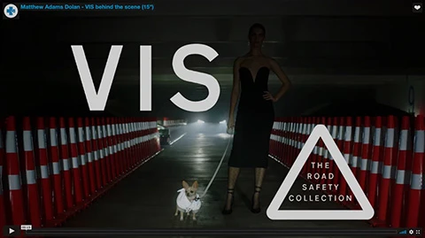 Insure and protect your dog or cat | Southern Cross Pet Insurance